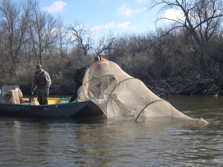 Muskie Research | South Dakota Game, Fish, and Parks
